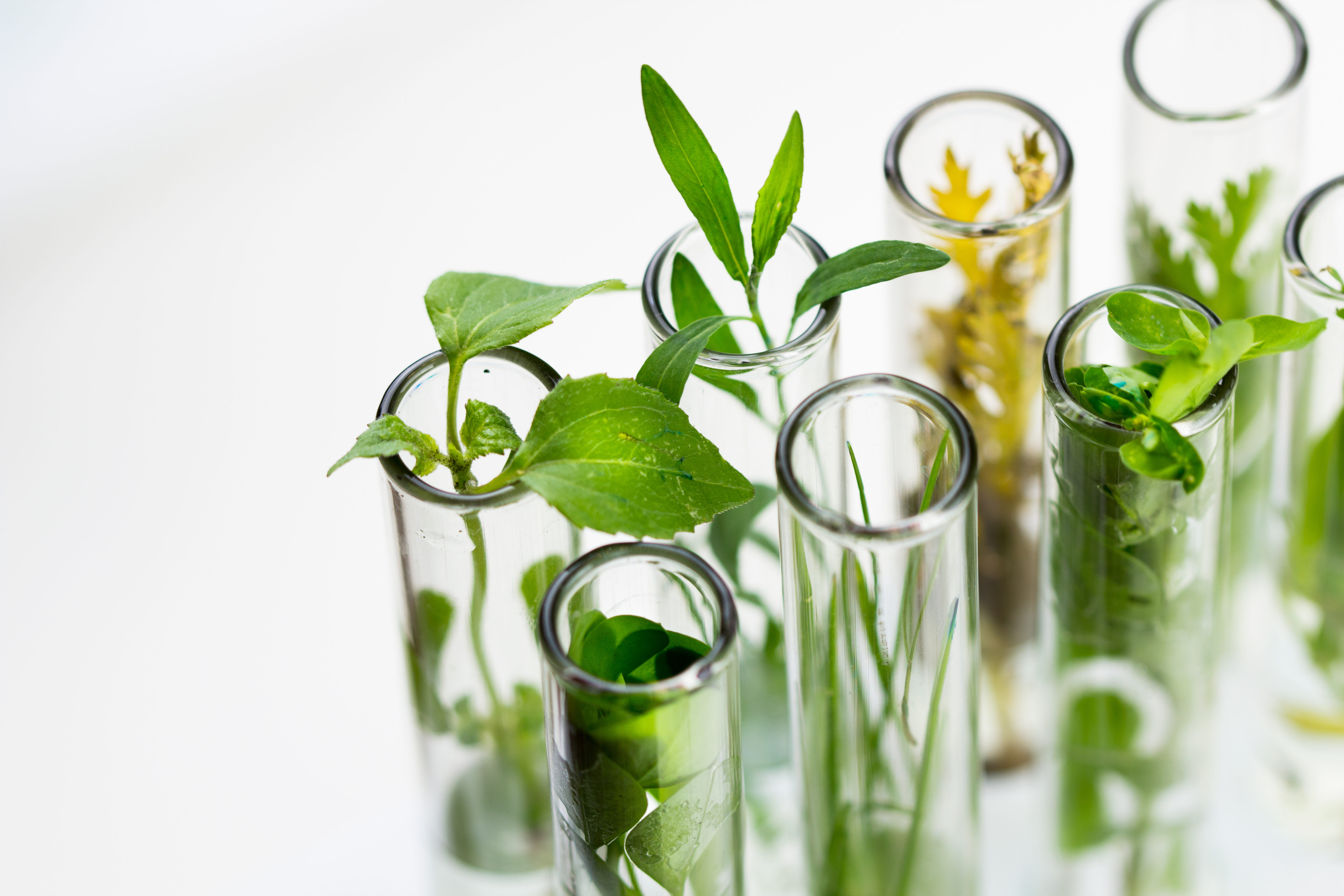 Science Vs. Nature – Patataki